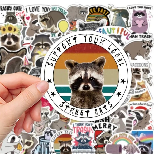 Trash Panda Stickers - Etsy