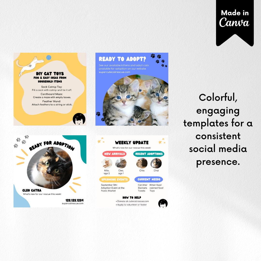 50 Square Social Media Templates for Cat Rescue Nonprofits - Etsy