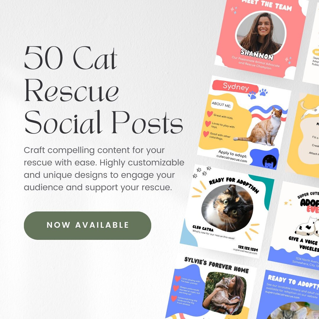 50 Square Social Media Templates for Cat Rescue Nonprofits - Etsy