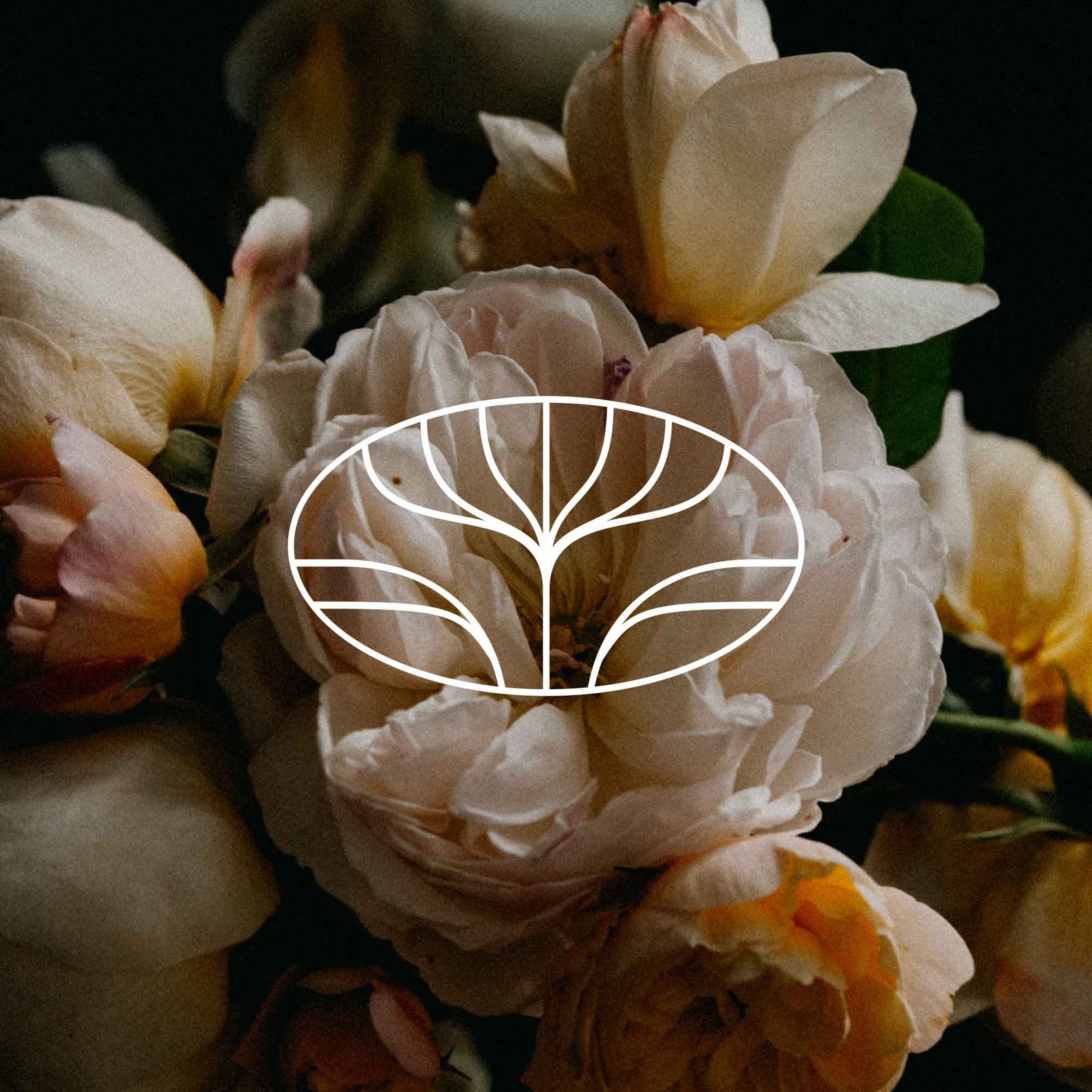 Linear Elegant Flower Logo — Premade Custom Logo, Logomark Icon, One-of ...