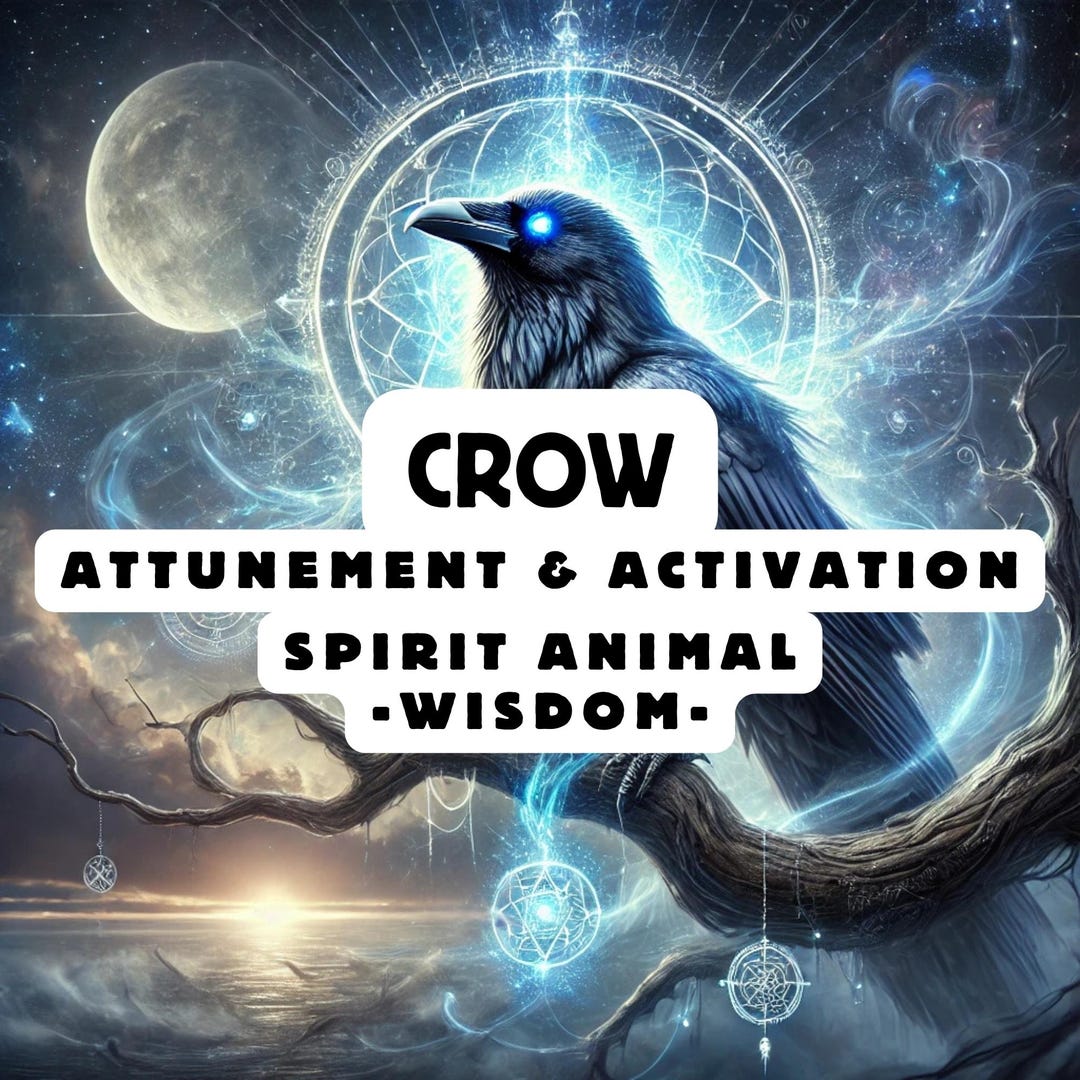 Crow Spirit Animal Attunement, Activation - Etsy