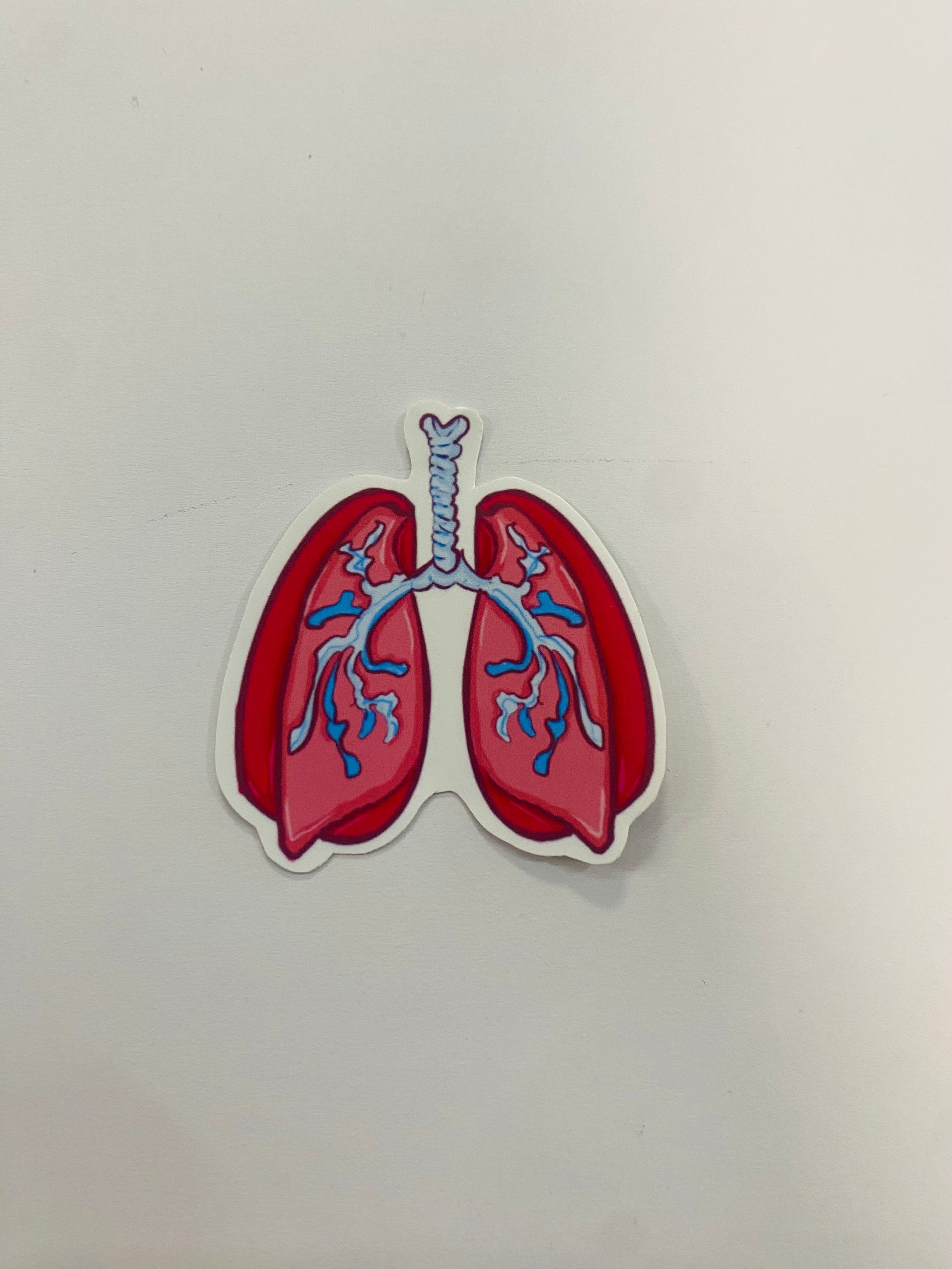 Human Organs Stickers Anatomical Human Heart Lungs Brain Decals Gift - Etsy