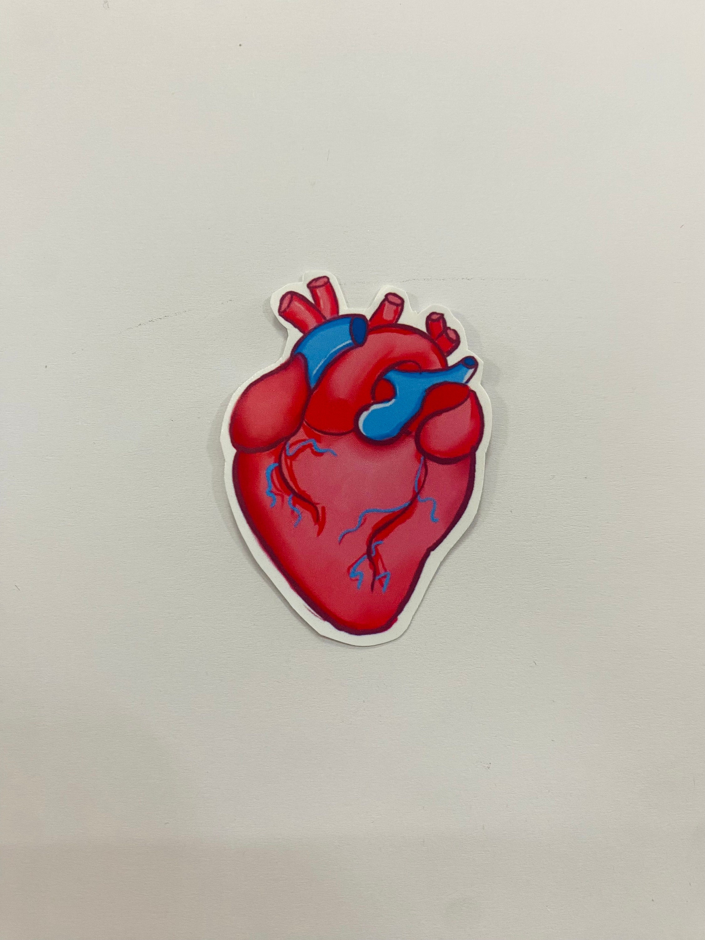 Human Organs Stickers Anatomical Human Heart Lungs Brain Decals Gift - Etsy