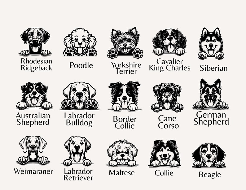 Custom Dog Breed Sweatshirt, Valentine's Day Dog Lover Gift ...