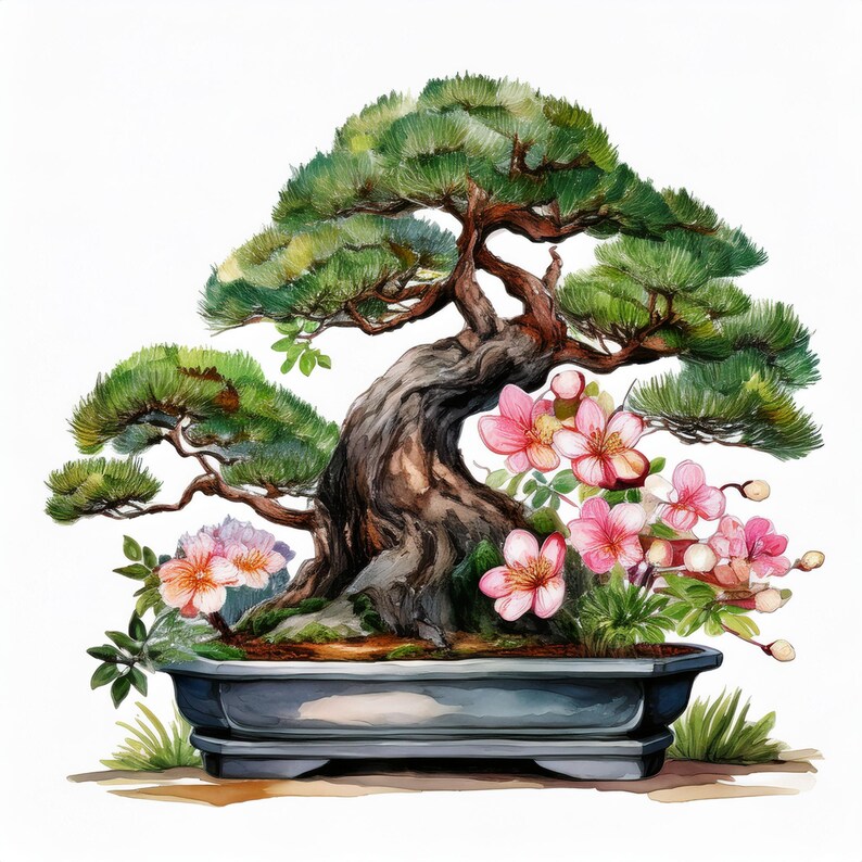 Bonsai Tree Graphics for Creative Projects Bundle - Etsy