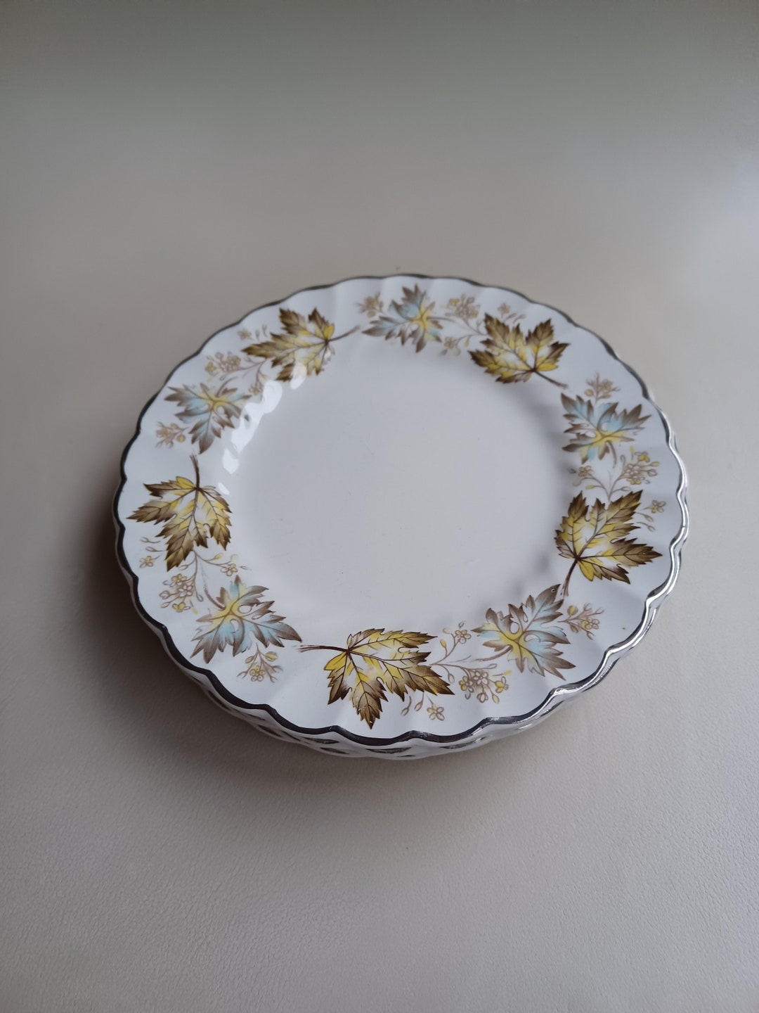 Vintage Ironstone Ware by Myott England Fine White L727 Maple - Etsy