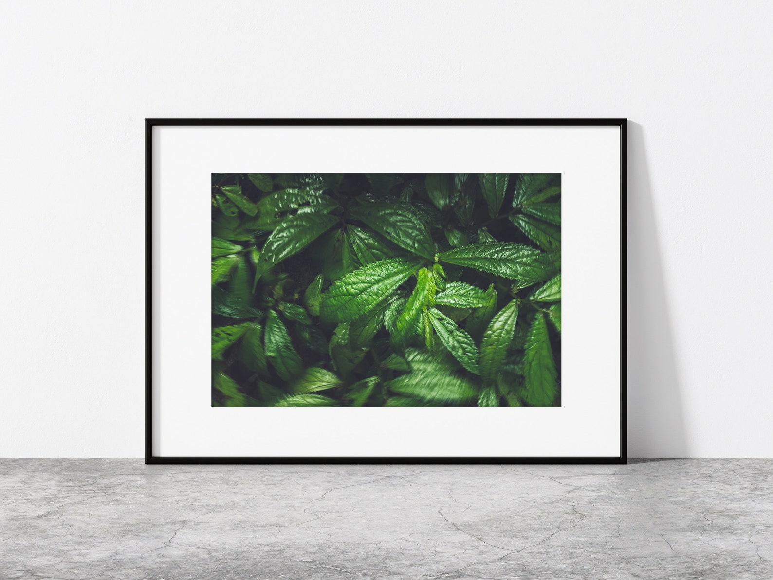 Minimalist Art Abstract Art Nature Print Green Leaves - Fine Art Jungle ...