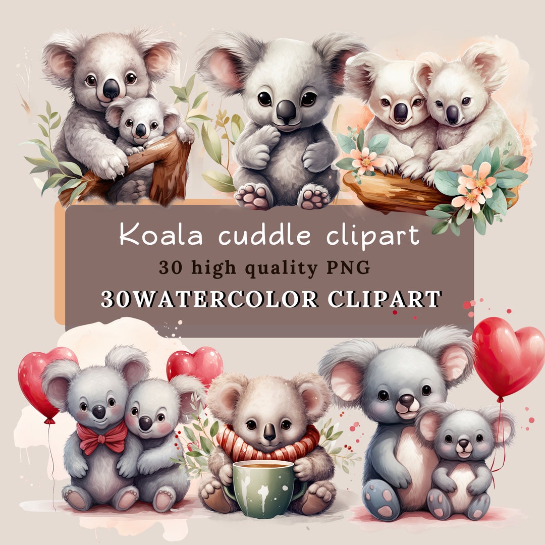 Set of 30 Koala Cuddle Clipart, Clipart of Koalas Cuddling, Bundle, Png ...