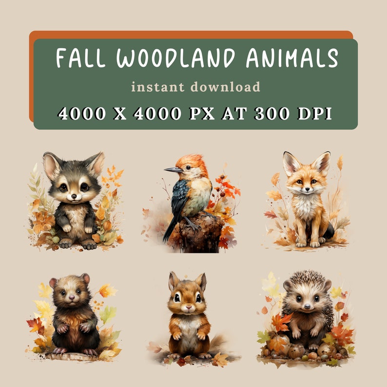 Set of 42 Fall Woodland Animals Clipart, Seasonal Design Bundle ...