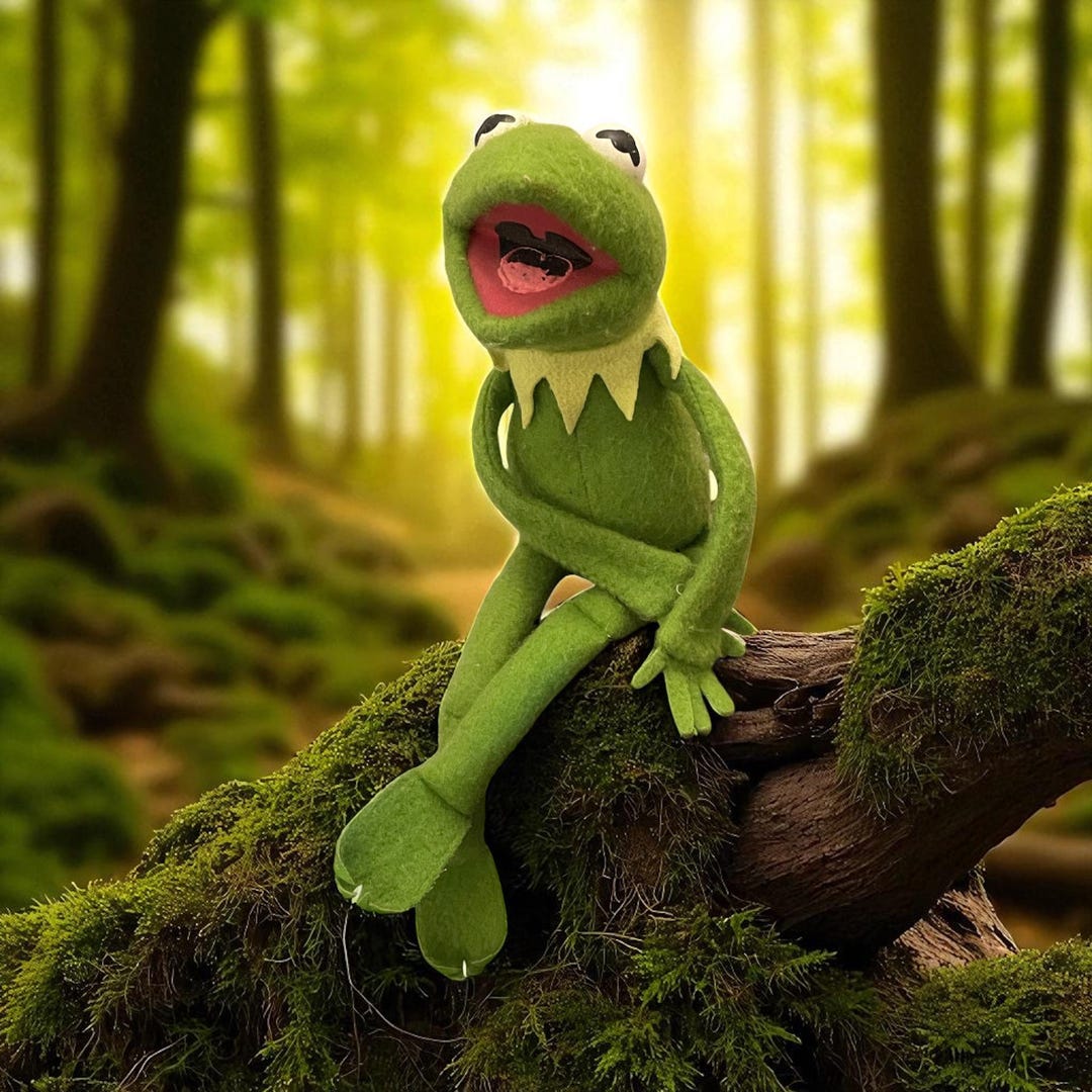 RARE 1976 Fisher Price Kermit the Frog Muppet 18” Doll (850) - Play ...
