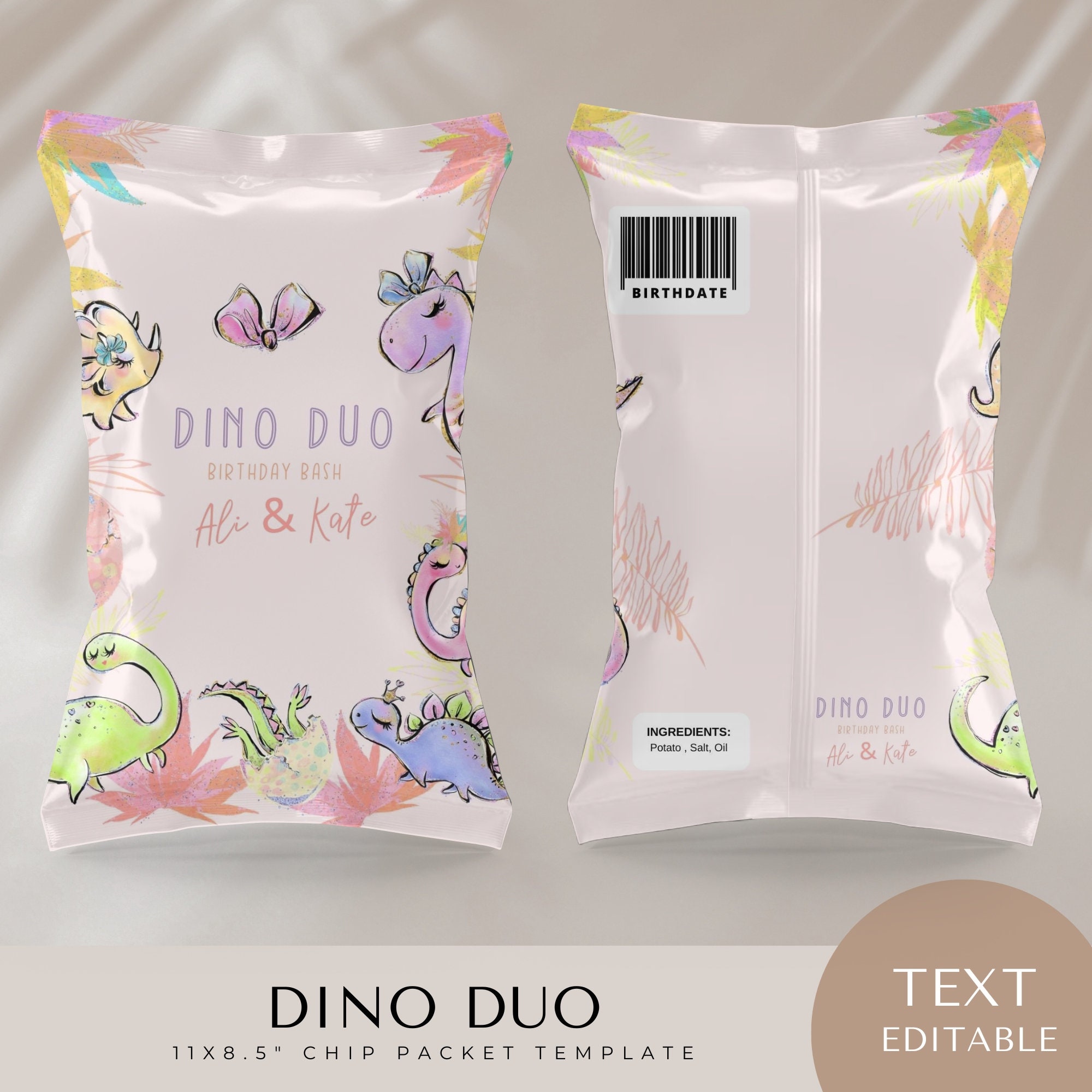 Cute SIBLING DINOSAUR Birthday Chip Bag, Four Rex, Editable Canva ...