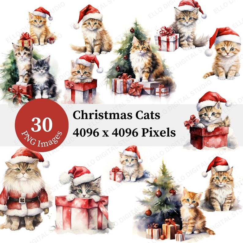 Christmas Cats Watercolor Clipart Bundle 30 PNG Festive Cat Kitten ...