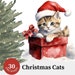 Christmas Cats Watercolor Clipart Bundle 30 PNG Festive Cat Kitten ...