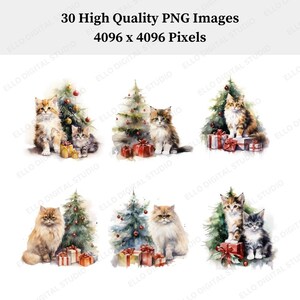 Christmas Cats Watercolor Clipart Bundle 30 PNG Festive Cat Kitten ...