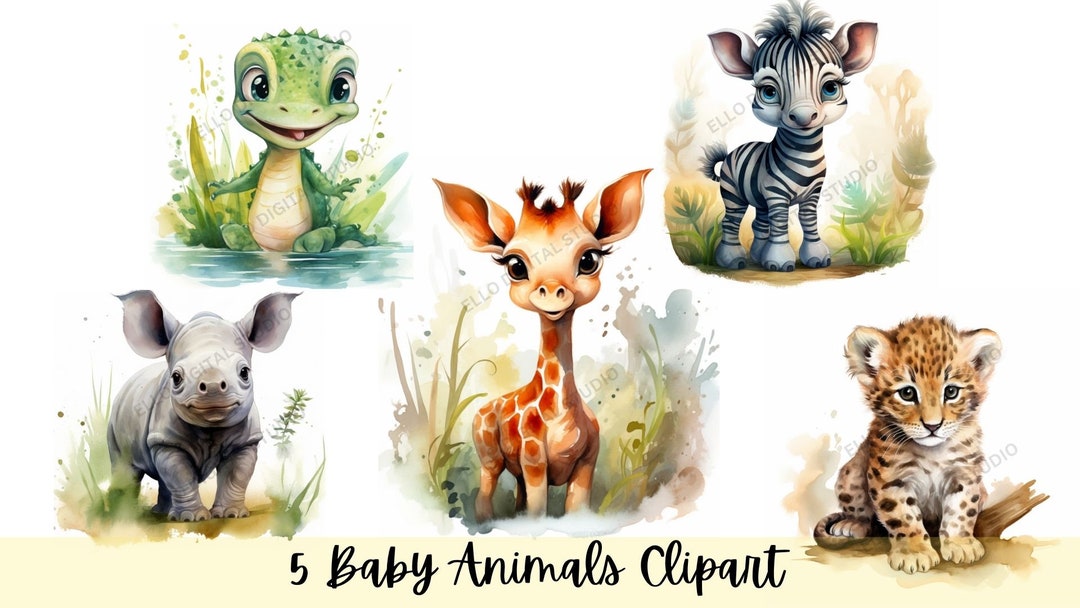 Safari Baby Animals Clipart Watercolor PNG Bundle of 5 Wildlife Images ...