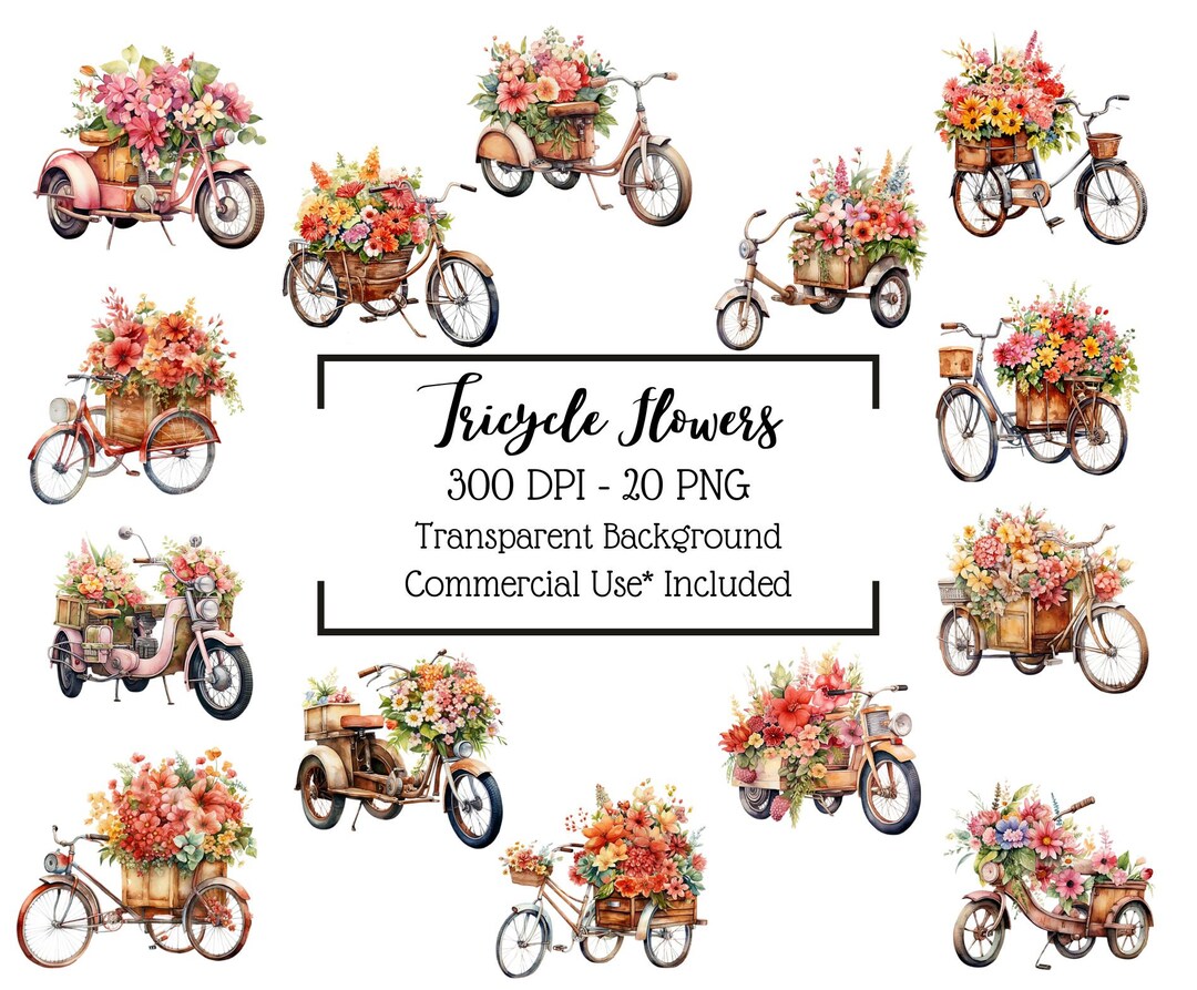 Floral Tricycle Clipart, 20 Transparent Background PNG, Scrapbooking ...