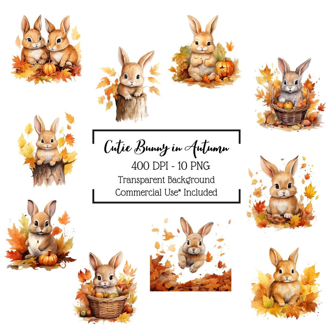 Autumn Fall Clipart, Fall Bunny Clipart, Autumn Clipart PNG, Baby ...