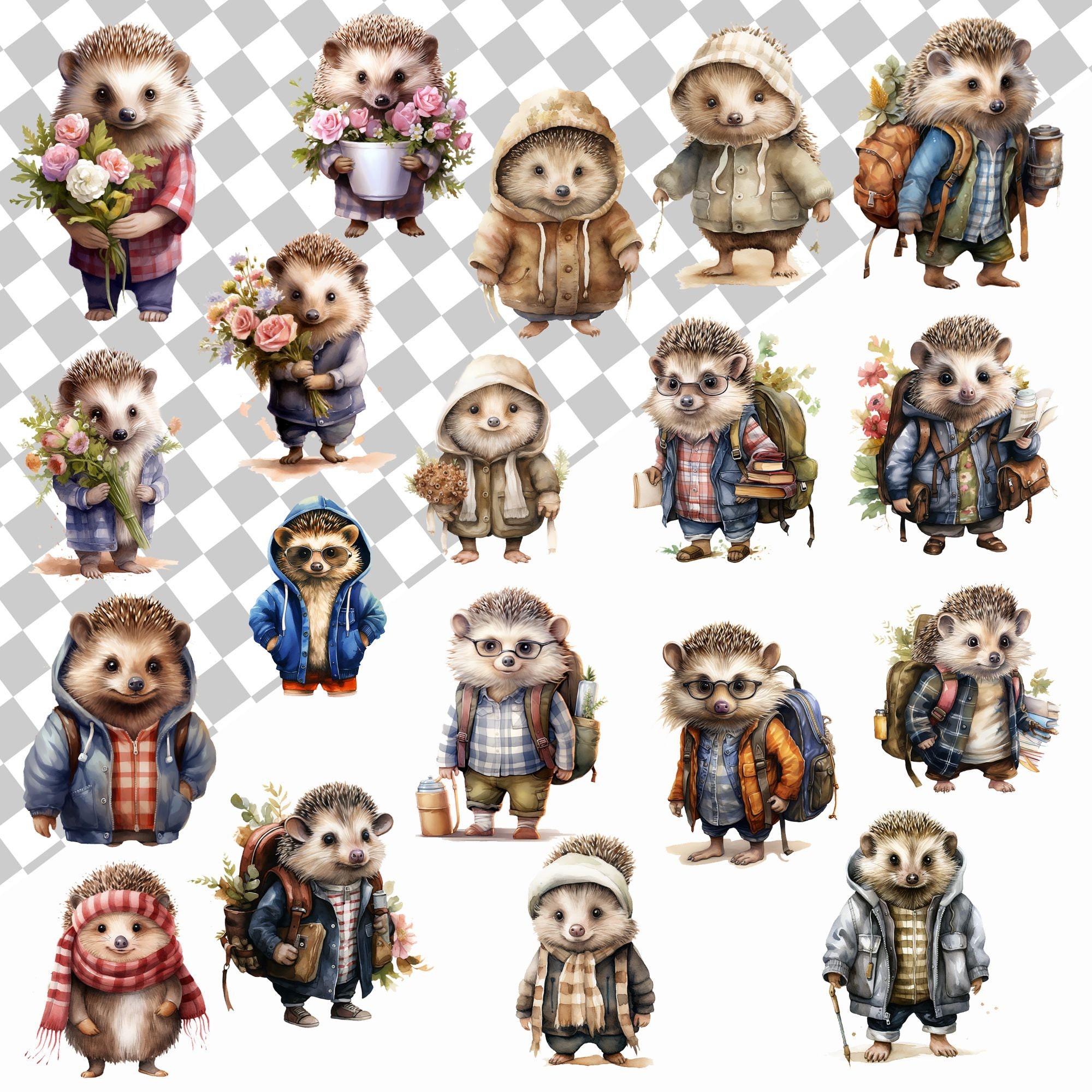 Cute Little Hedgehog Clipart PNG, Watercolor Hedgehog Png's , Autumn ...