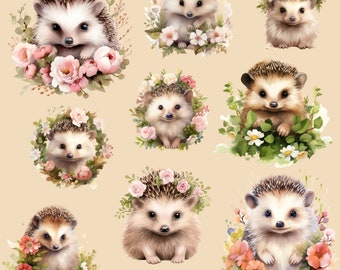 Cute Hedgehogs Clipart 15 High Quality PNG Images Digital Download ...