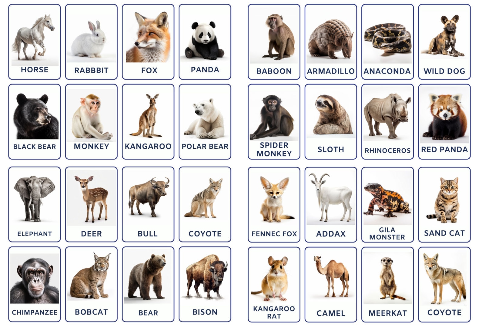 Flashcard Bundle of African Adventure Bundle Includes Desert Animals ...