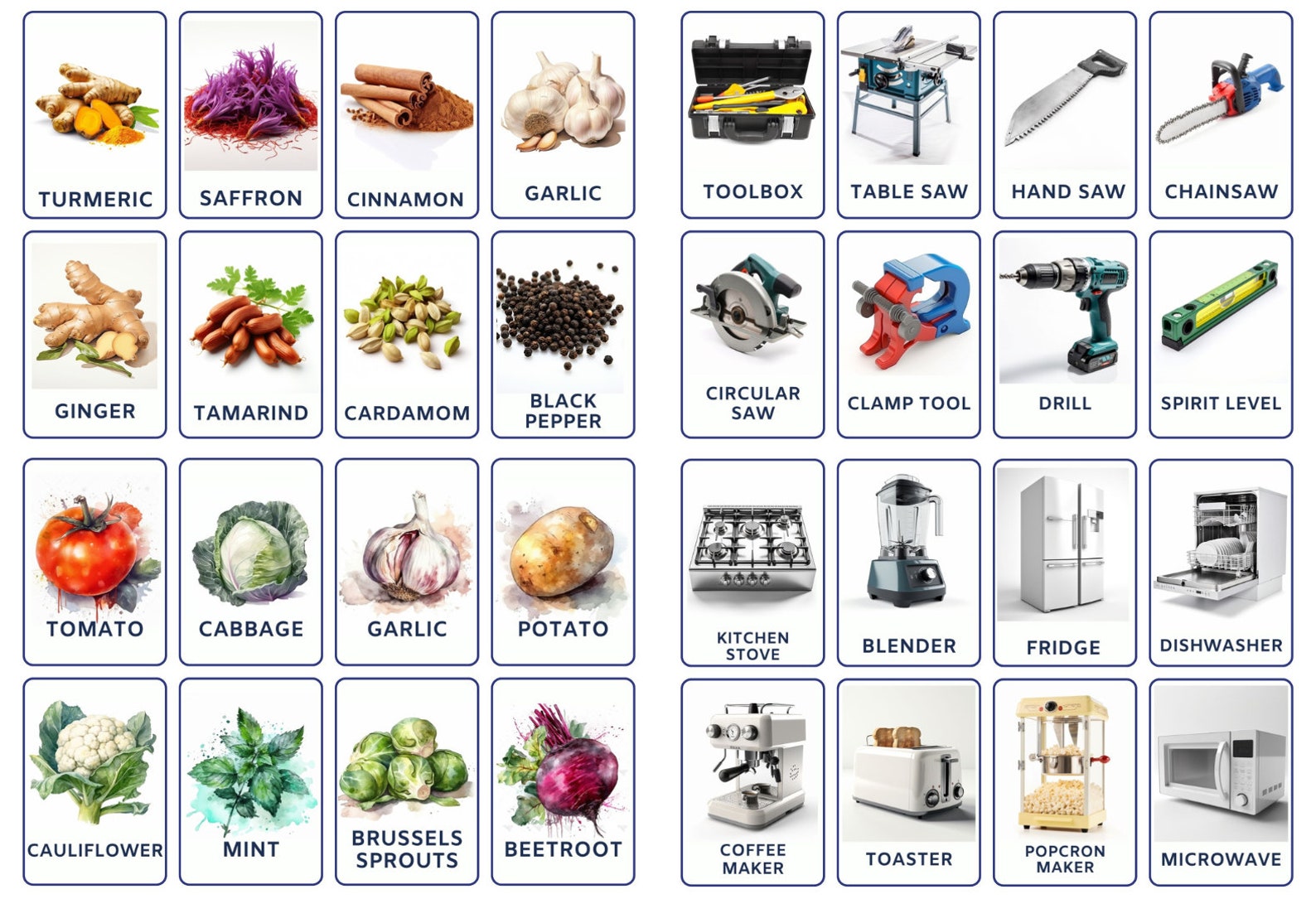 Flashcard Bundle of Kitchen and Tools Bundle Includes Vegetables, in ...