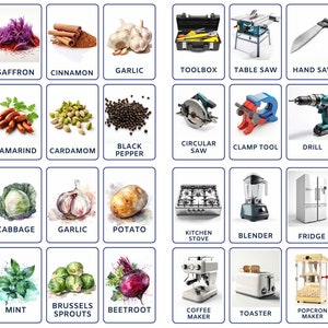 Flashcard Bundle of Kitchen and Tools Bundle Includes Vegetables, in ...