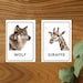 32 Wild Animals Flashcards, African Animals, Kids Cards, Nomenclature ...