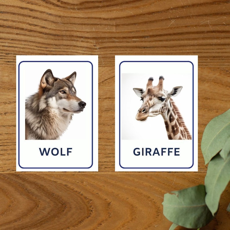 32 Wild Animals Flashcards, African Animals, Kids Cards, Nomenclature ...