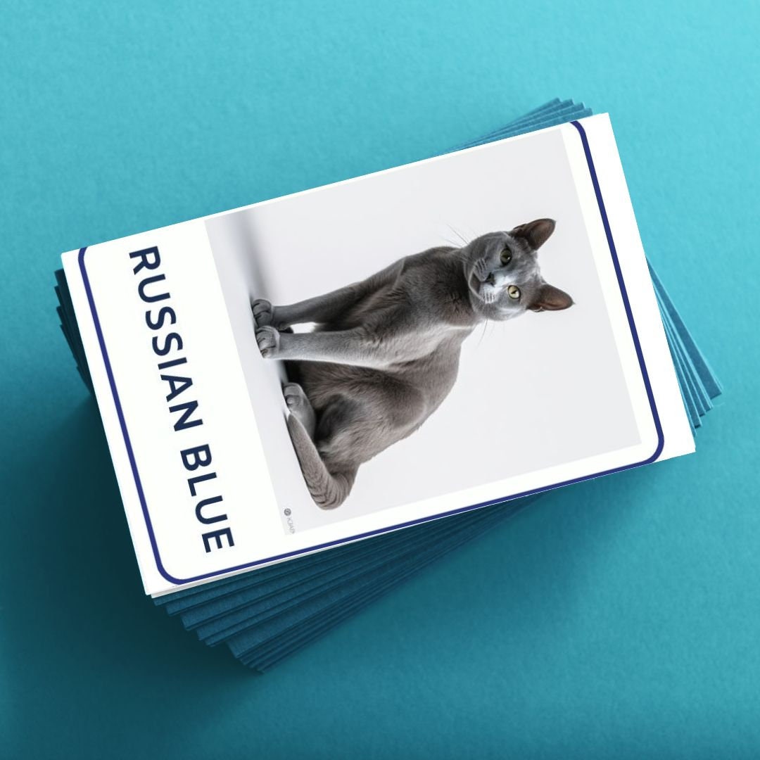 32 Cats Breed Flashcards, Kids Printable, Nomenclature Cards, Toddler ...