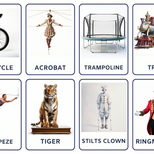 Flashcard Bundle of Sports Spectacular Flashcards Including Sports ...