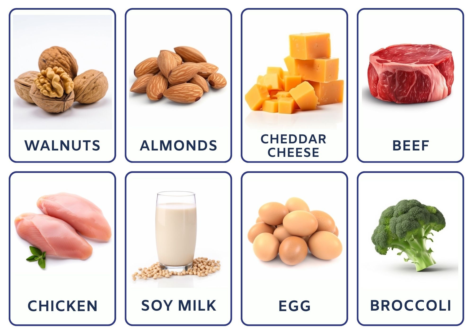 Flashcard Bundle of Food and Fruits Bundle Includes Berries, Citrus ...