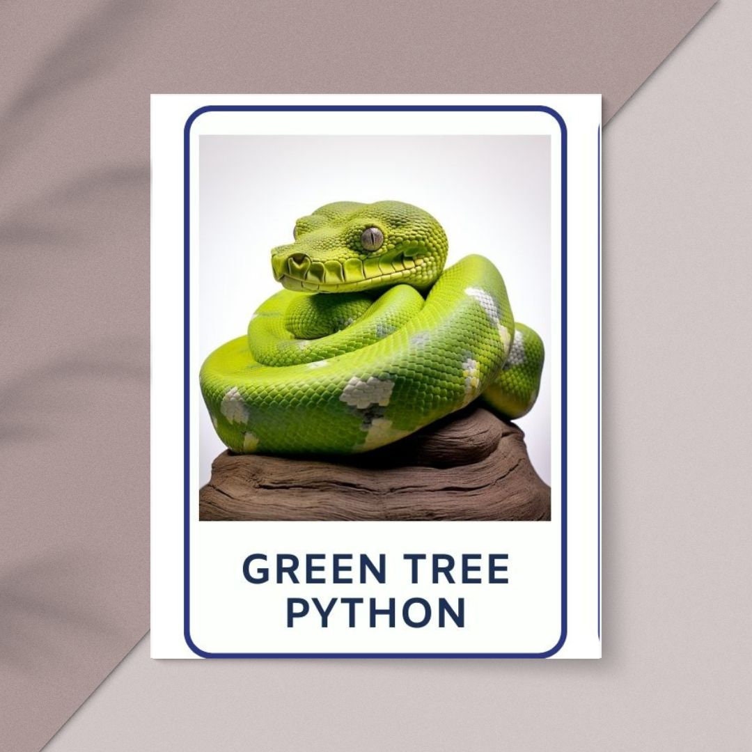 32 Snakes Flashcards, Kids Printable, Nomenclature Cards, Toddler ...