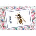 32 Insects Flash Cards, Montessori Flash Cards, Preschool Activity ...