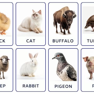 Baby Animals, Wild Creatures, Forest, Farm, Domestic, Birds, Desert ...