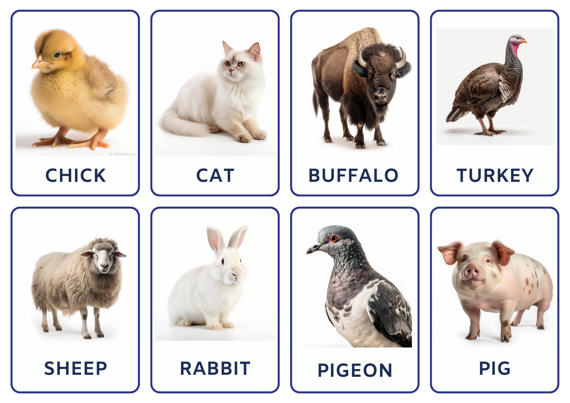 Baby Animals, Wild Creatures, Forest, Farm, Domestic, Birds, Desert ...