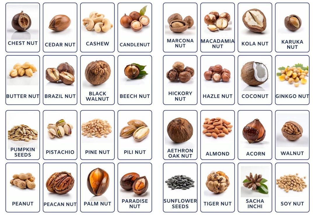 NUTS (real Pictures) 32 Editable Montessori Cards, Flash Cards ...