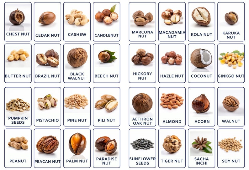 NUTS (real Pictures) 32 Editable Montessori Cards, Flash Cards ...
