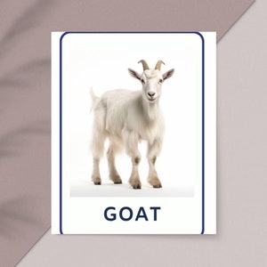 32 Domestic Animals and Birds Flashcards, Kids Printable, Nomenclature ...