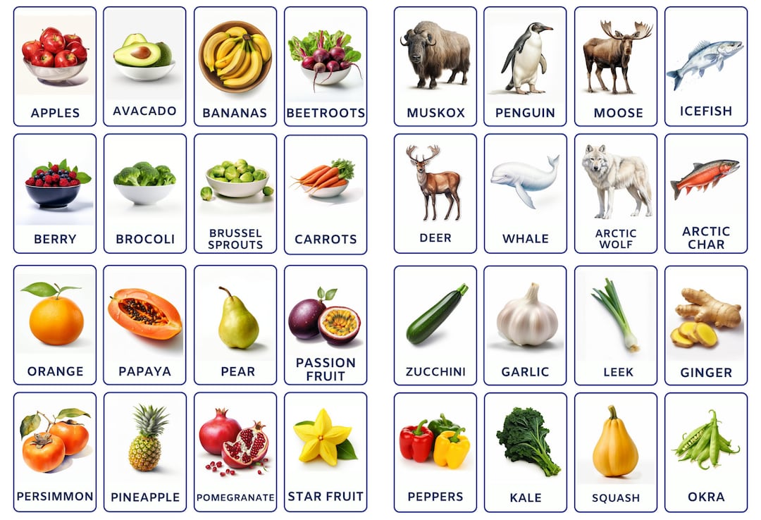 Flashcard Bundle of Winter Nature Bundle Includes Winter Vegetables ...