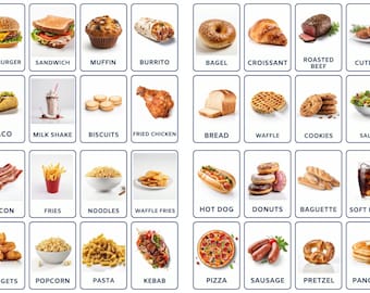 32 Forest Animals Flashcards, Kids Printable, Nomenclature Cards ...