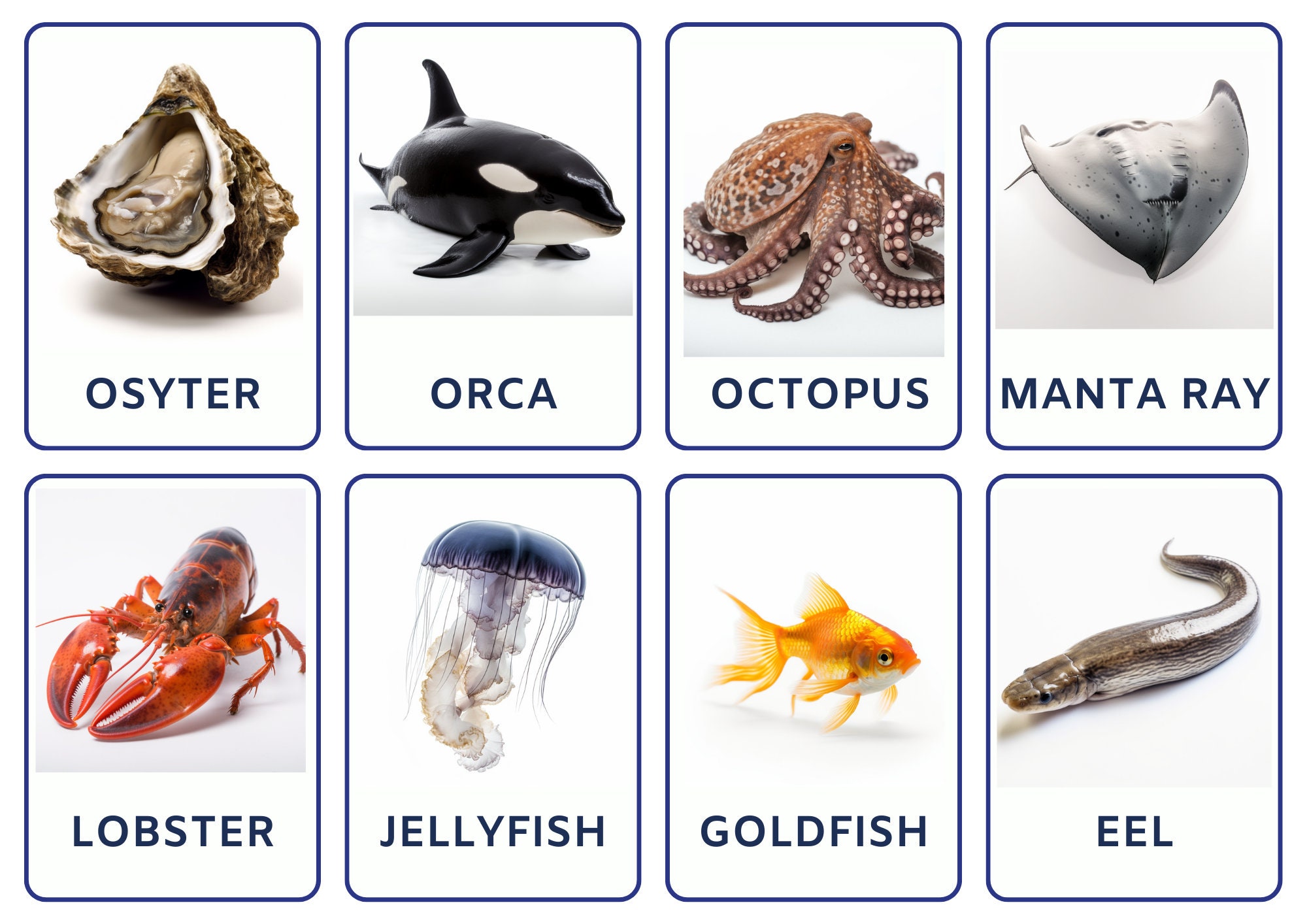 Flashcard Bundle of Animals of the World Bundle Includes Wild Animals ...