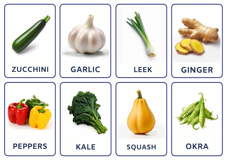 Flashcard Bundle of Winter Nature Bundle Includes Winter Vegetables ...