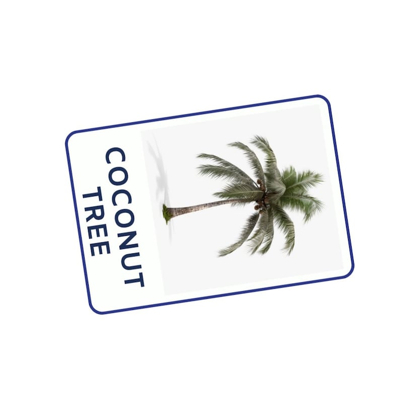 TREES (real Pictures) - 32 Editable Montessori Cards, Nomenclature ...