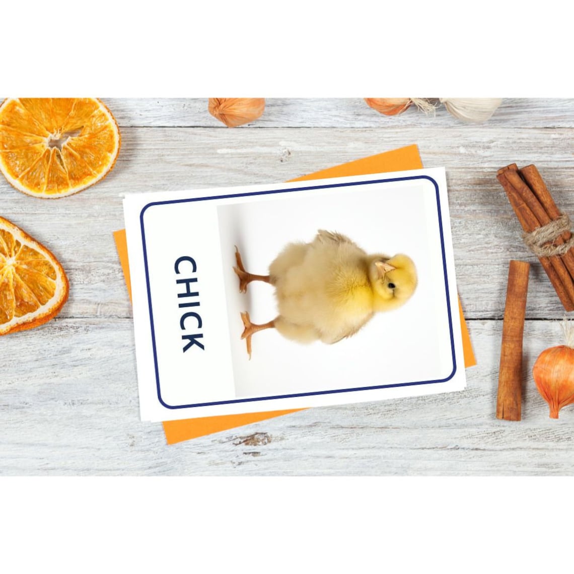 32 Domestic Animals and Birds Flashcards, Kids Printable, Nomenclature ...