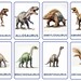 Flashcard Bundle of Animals and Creatures Bundle Includes Kids ...