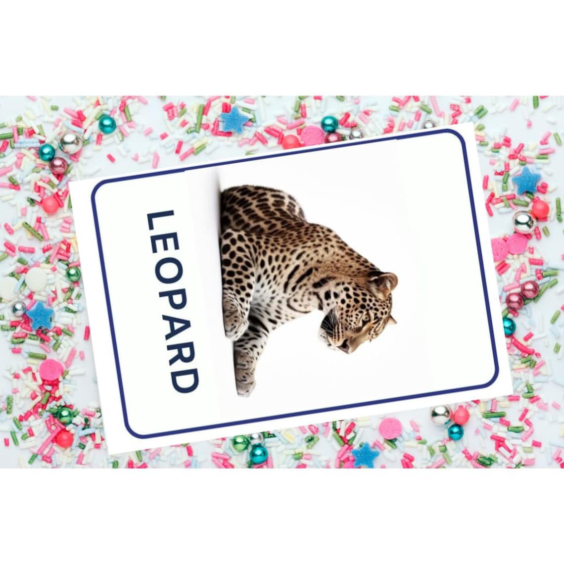 32 Wild Animals Flashcards, African Animals, Kids Cards, Nomenclature ...