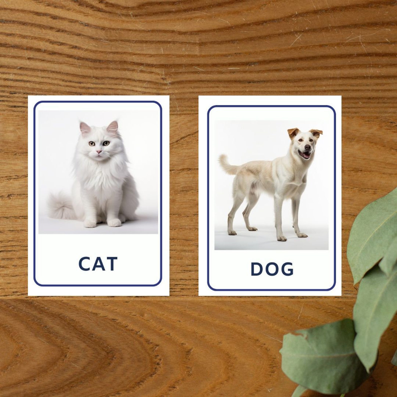 32 Domestic Animals and Birds Flashcards, Kids Printable, Nomenclature ...