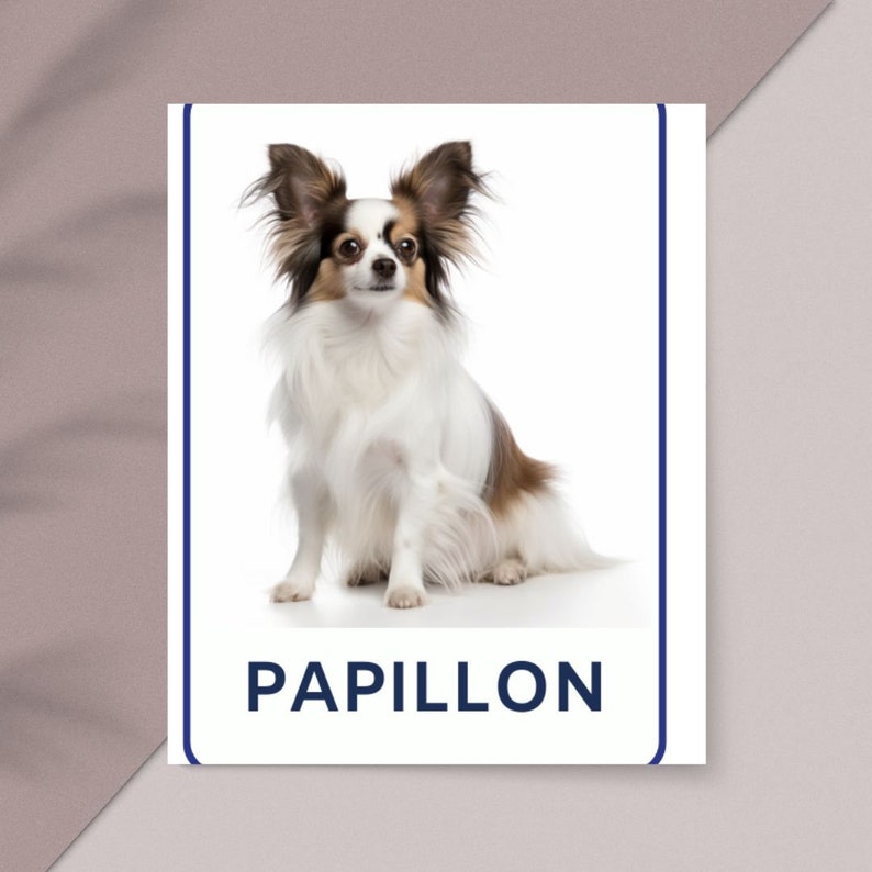 Explore Dog Breeds 32 Montessori Flashcards With Real Pictures ...