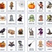 Spooky Halloween Vocabulary Flash Cards, 32 Editable Montessori Cards ...