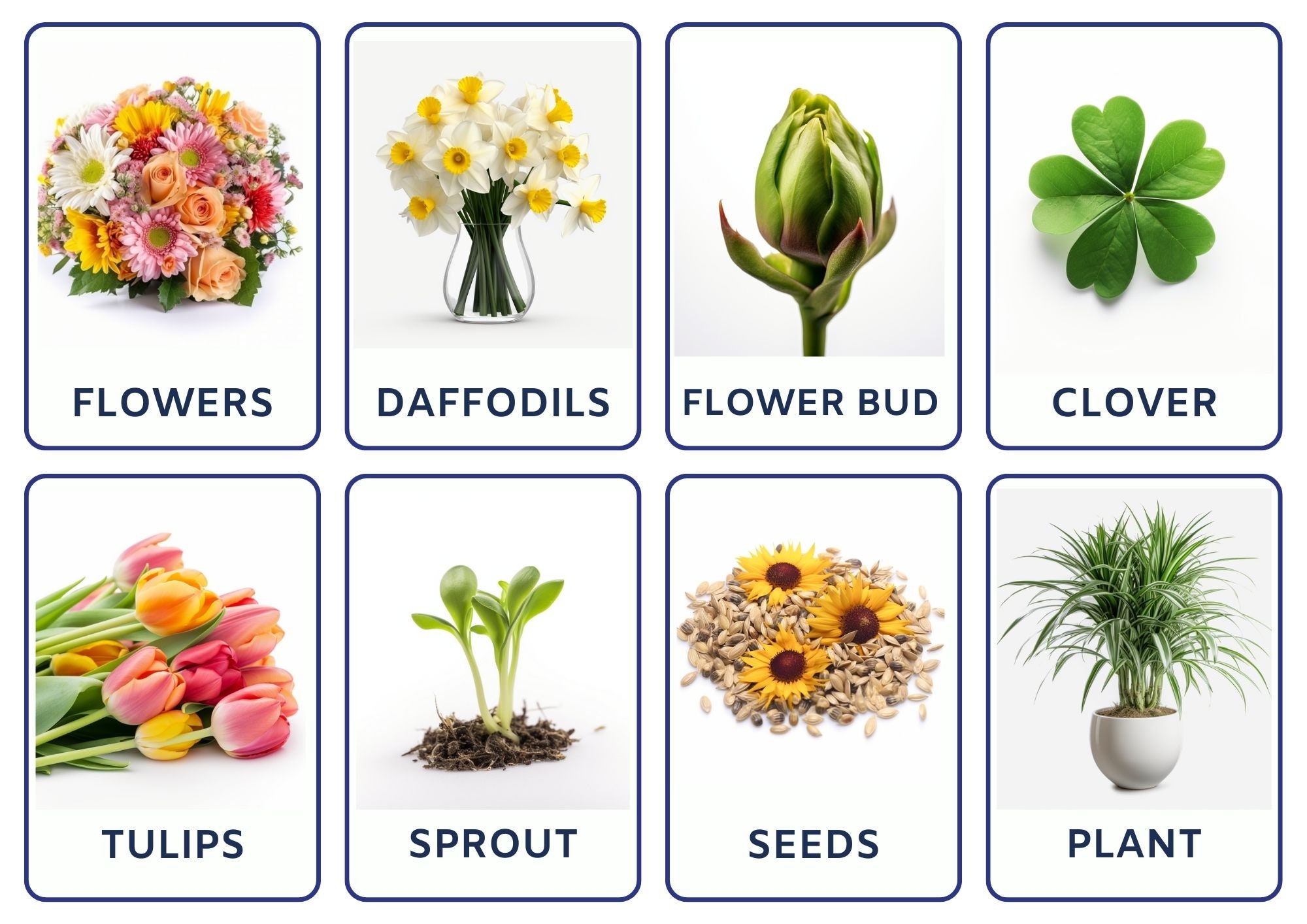 Flashcard Bundle of Seasons and Holidays Bundle Includes Winter, Summer ...